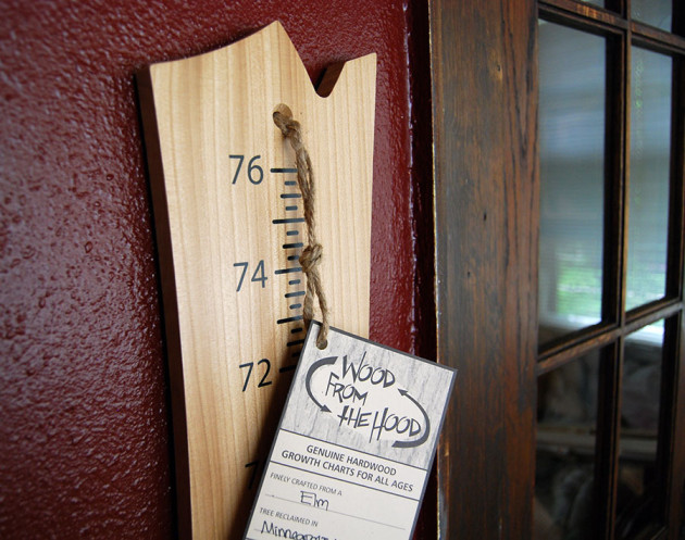 Growth Chart - Elm - Finished - Wood From The Hood