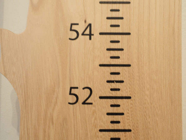Growth Chart - Elm - Unfinished - Wood From The Hood