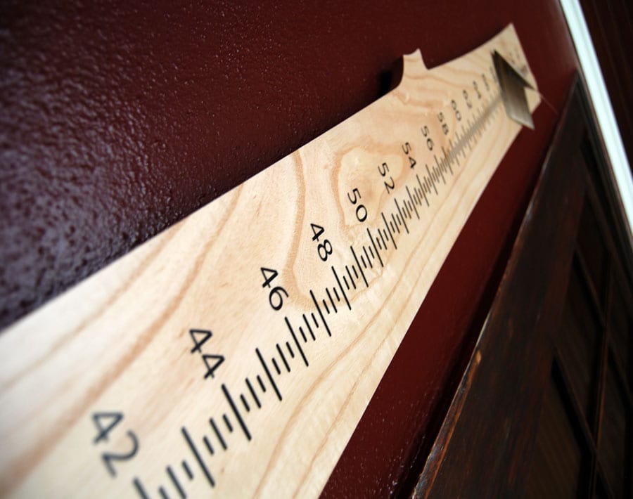 Growth-Chart-Ash-web - Wood From The Hood