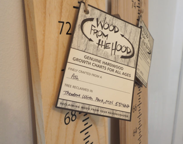 Growth Chart - Ash - Finished - Wood From The Hood