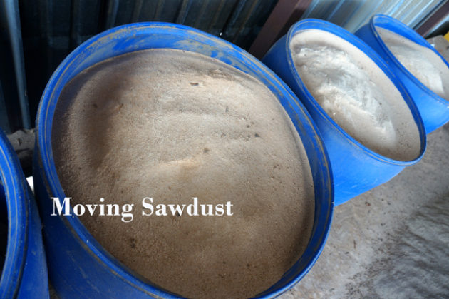 Minneapolis Gourmet Mushroom Cultivator Repurposes WFTH Sawdust - Wood ...