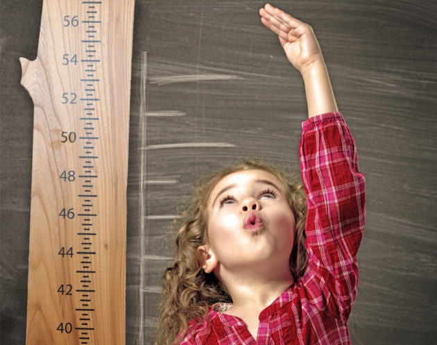 Growth Chart - Elm - Finished - Wood From The Hood