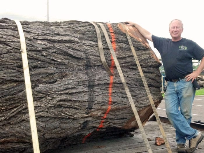 Elm Log Urban Lumber Wood From the Hood Minneapolis - Wood From The Hood