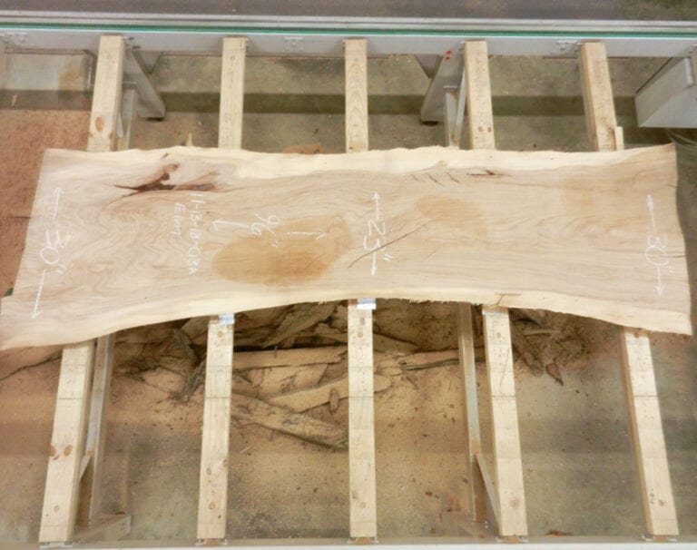 American Elm Slabs Archives - Wood From The Hood