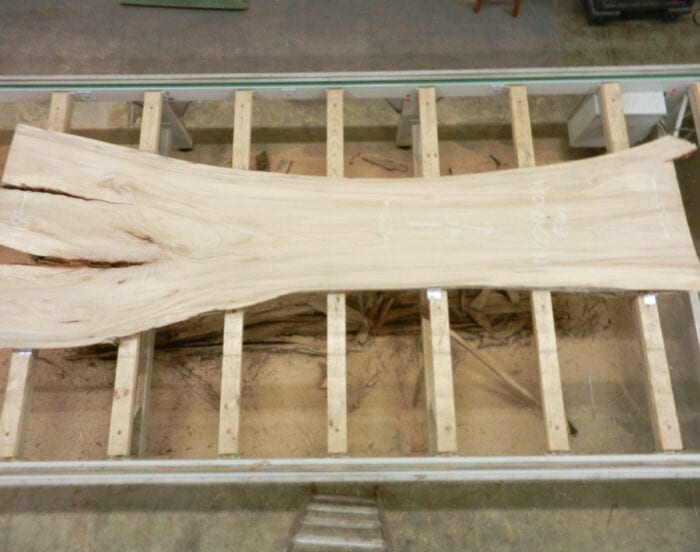 American Elm Slabs Archives - Wood From The Hood