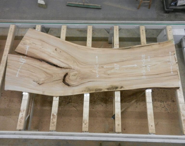 American Elm Slabs Archives - Wood From The Hood