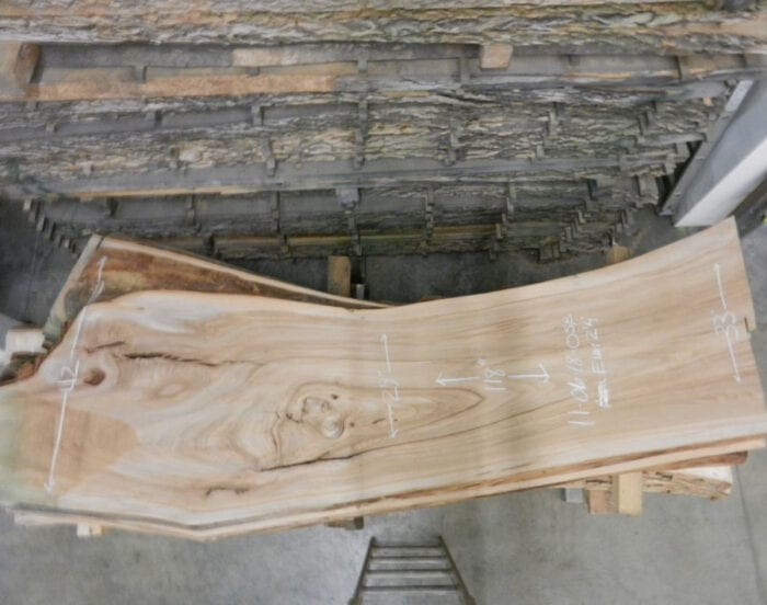 American Elm Slabs Archives - Wood From The Hood