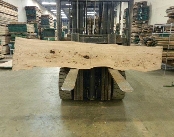American Elm Slabs Archives - Wood From The Hood