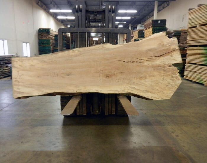 Silver Maple Slabs Archives - Wood From The Hood