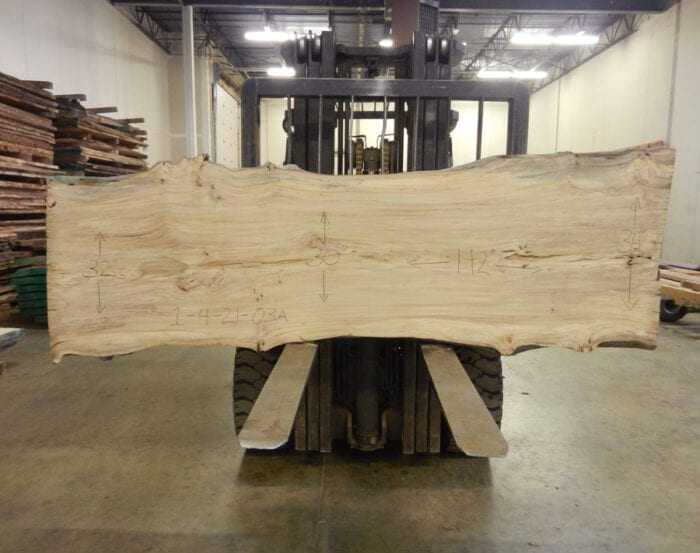 American Elm Slabs Archives - Wood From The Hood