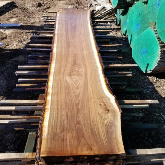 walnut slabs stickered - Wood From The Hood