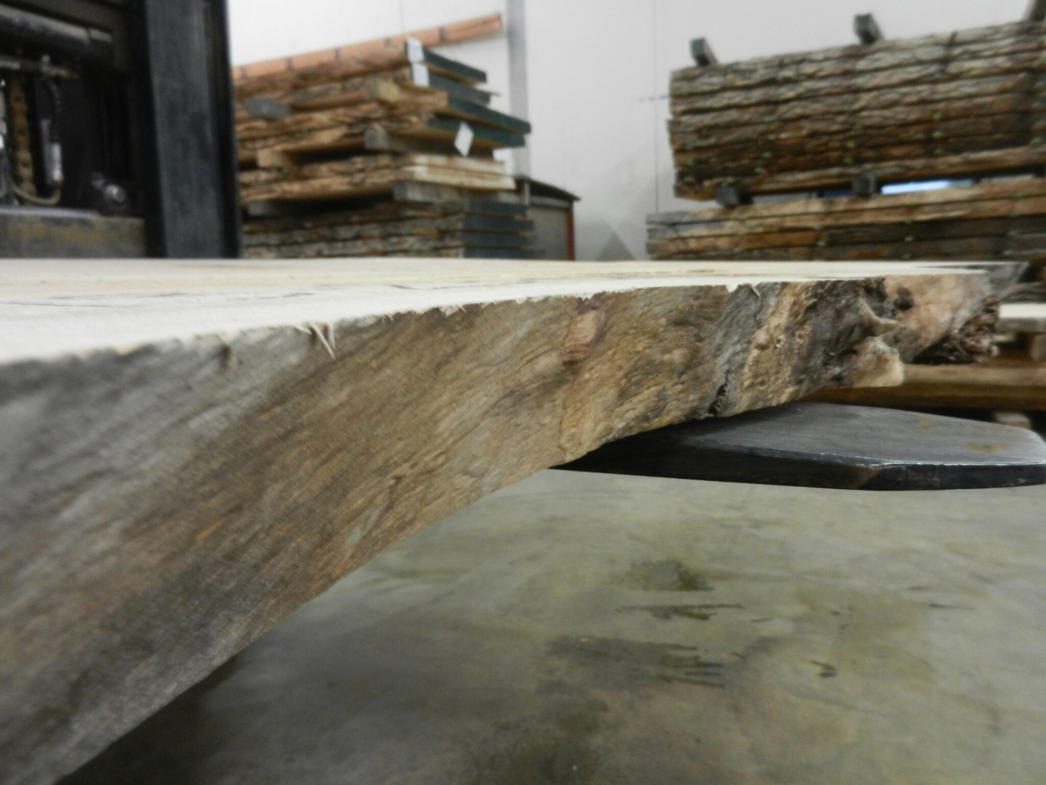 Silver Maple Natural Edge Slab #7-13-23-02 - Wood From The Hood