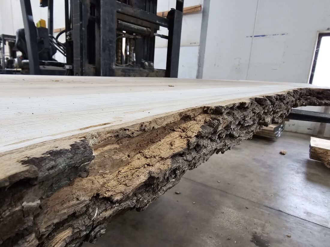 Ash Natural Edge Slab #1-3-24-04 - Wood From The Hood
