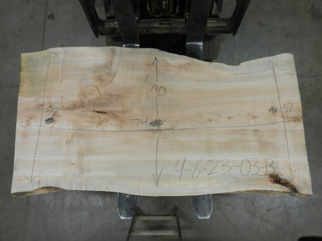 Silver Maple Natural Edge Slab #9-6-23-03 - Wood From The Hood