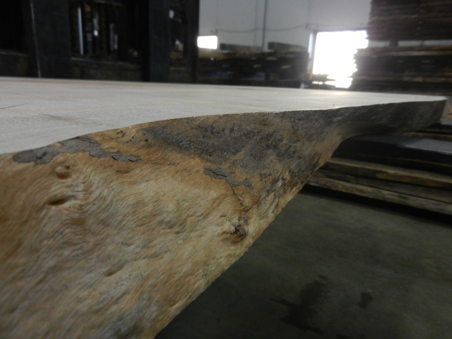 Silver Maple Natural Edge Slab #9-6-23-03 - Wood From The Hood