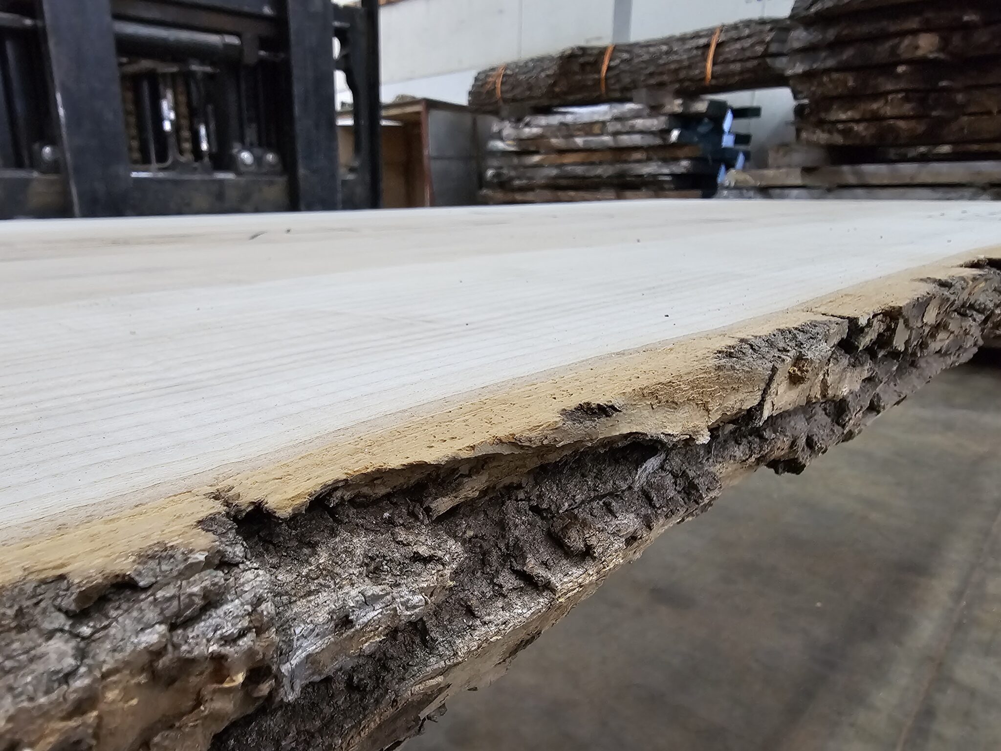 Ash Natural Edge Slab #1-23-24-04 - Wood From The Hood