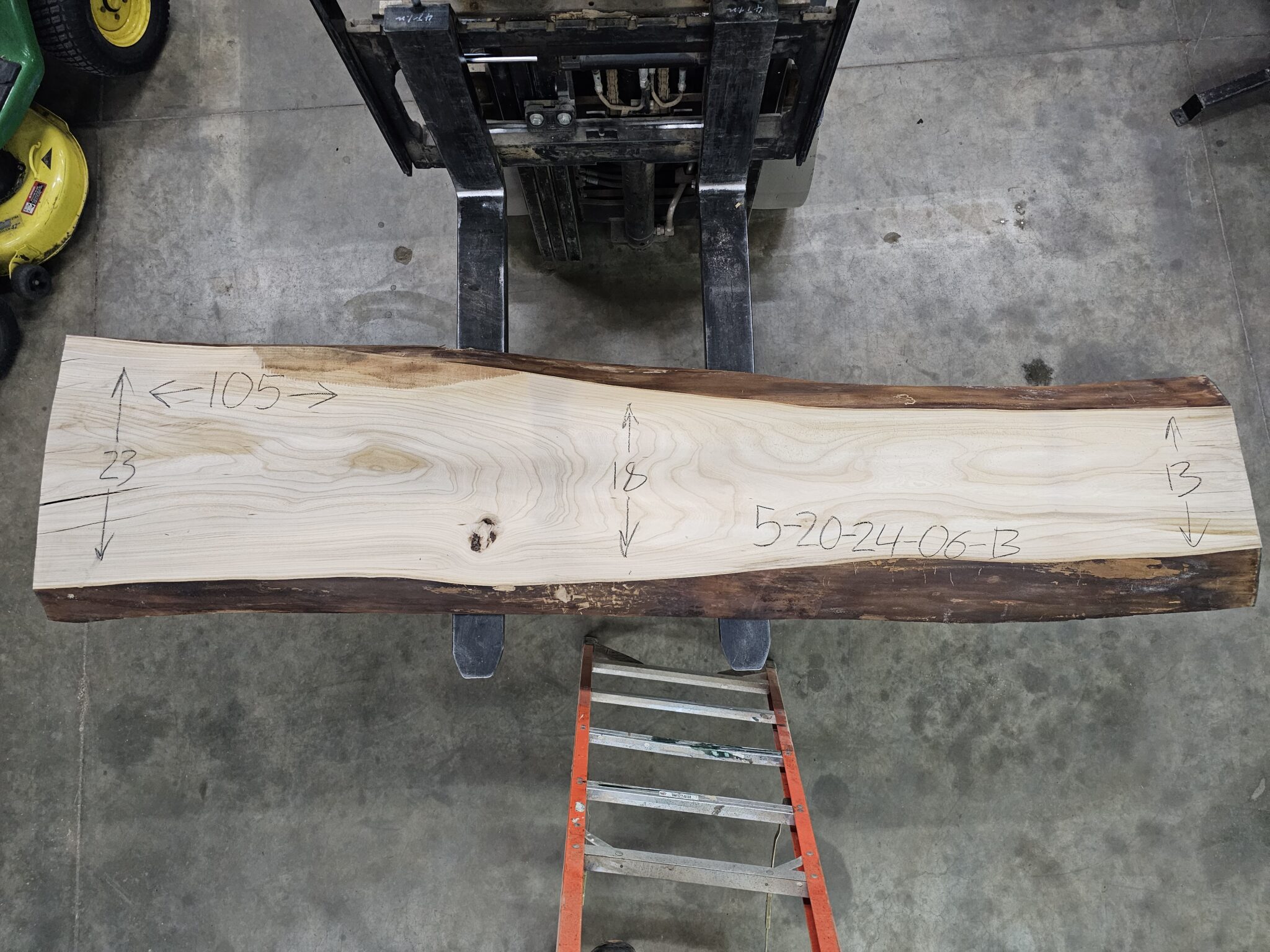 American Elm Wood Slab #5-20-24-06 - Wood From The Hood