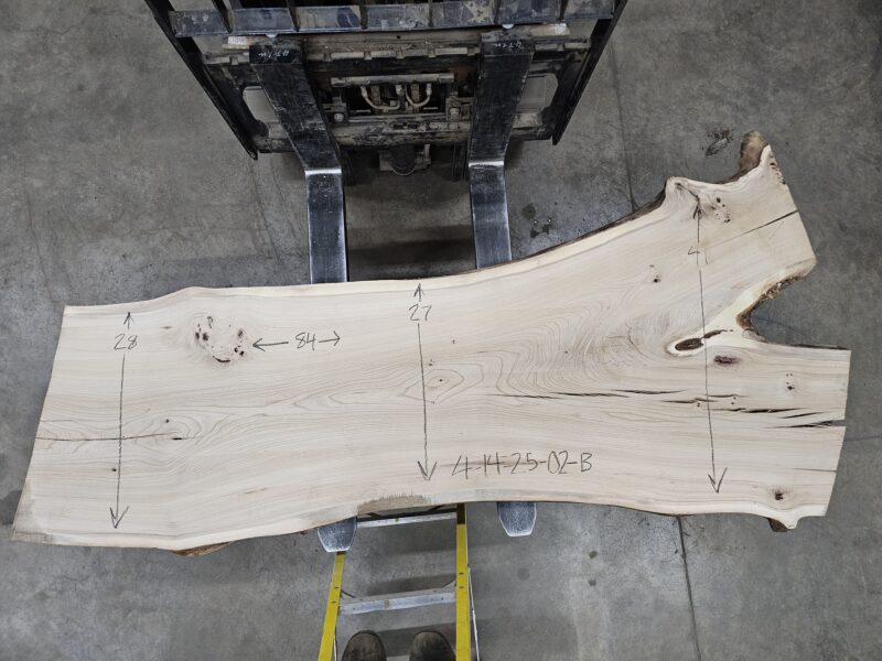 American Elm Wood Slab #4-14-25-02 - Wood From The Hood