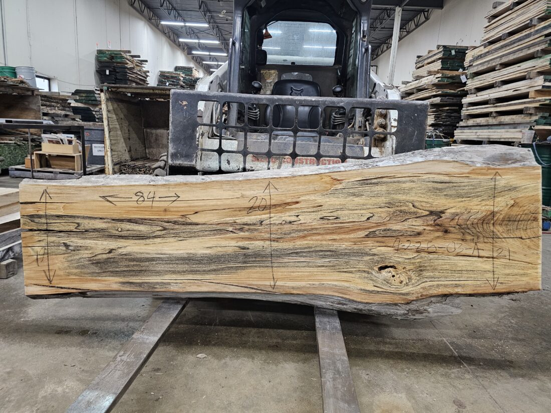 American Elm Wood Slab #4-2-25-03 - Wood From The Hood