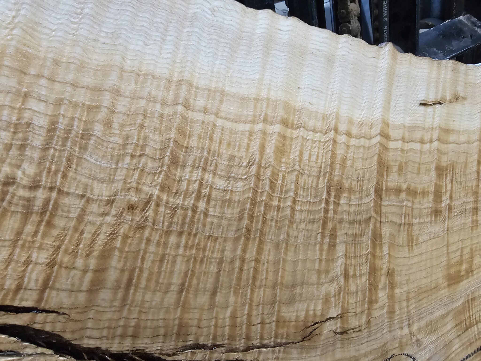 Ash Natural Edge Slab #5-13-25-03 - Wood From The Hood