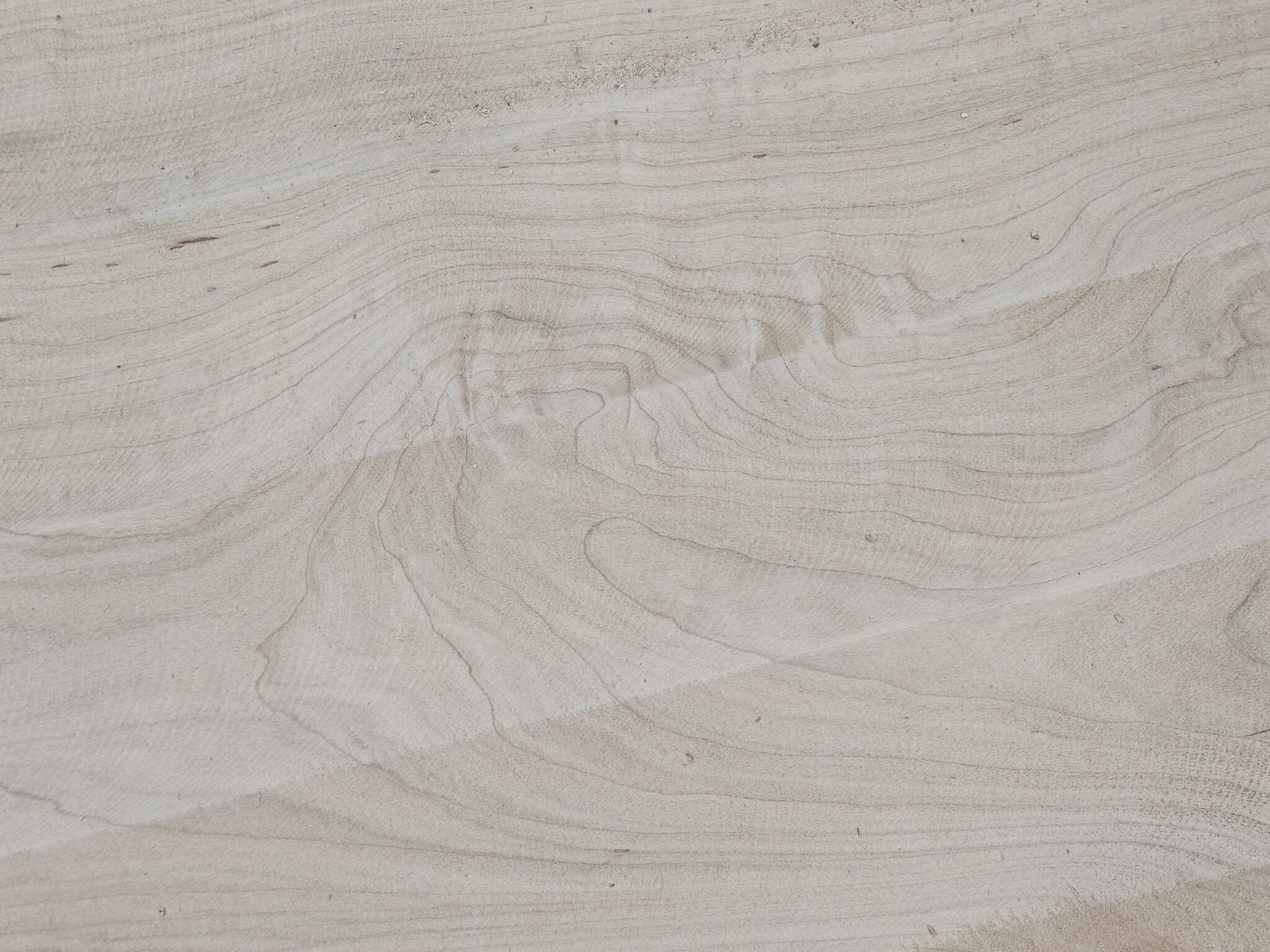 Silver Maple Natural Edge Slab #5-21-25-04 - Wood From The Hood