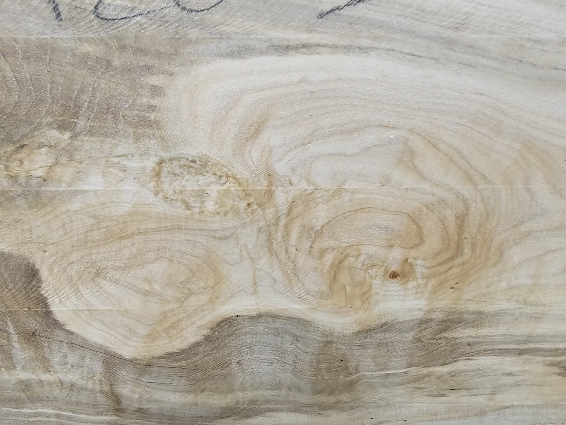 Silver Maple Natural Edge Slab #5-21-25-04 - Wood From The Hood