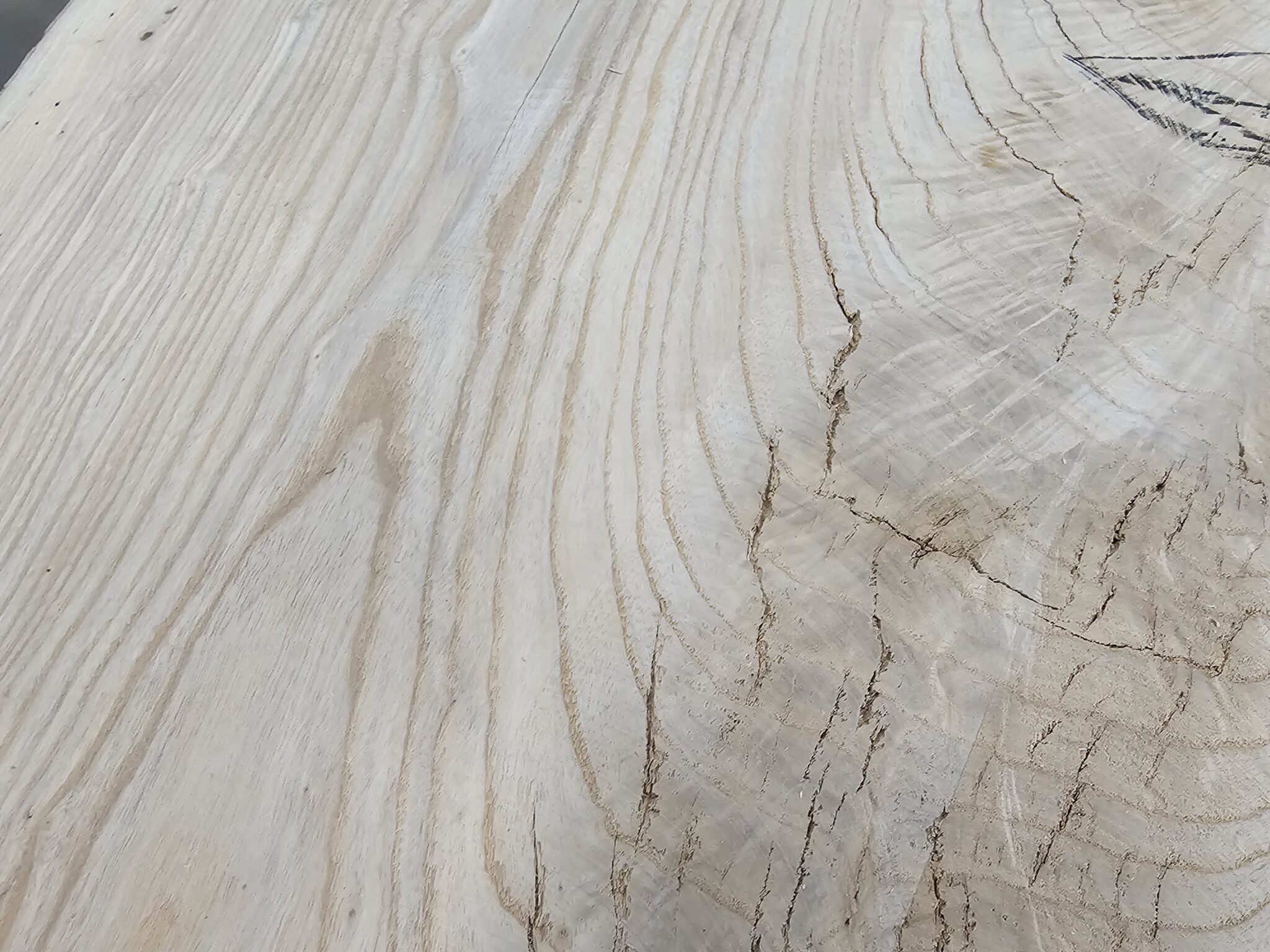 Ash Natural Edge Slab #5-6-25-02 - Wood From The Hood