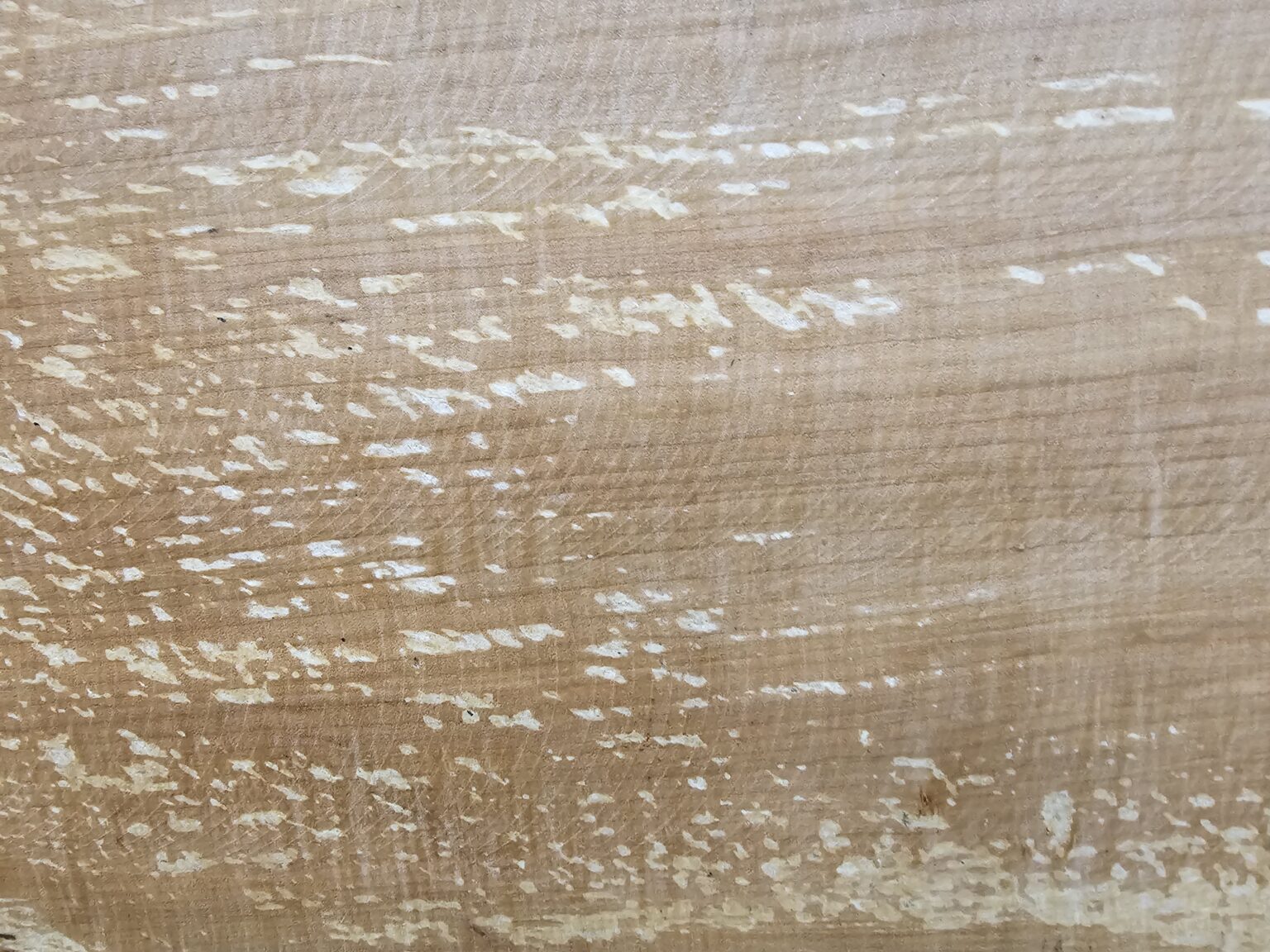 Silver Maple Natural Edge Slab #6-3-25-04-1 - Wood From The Hood