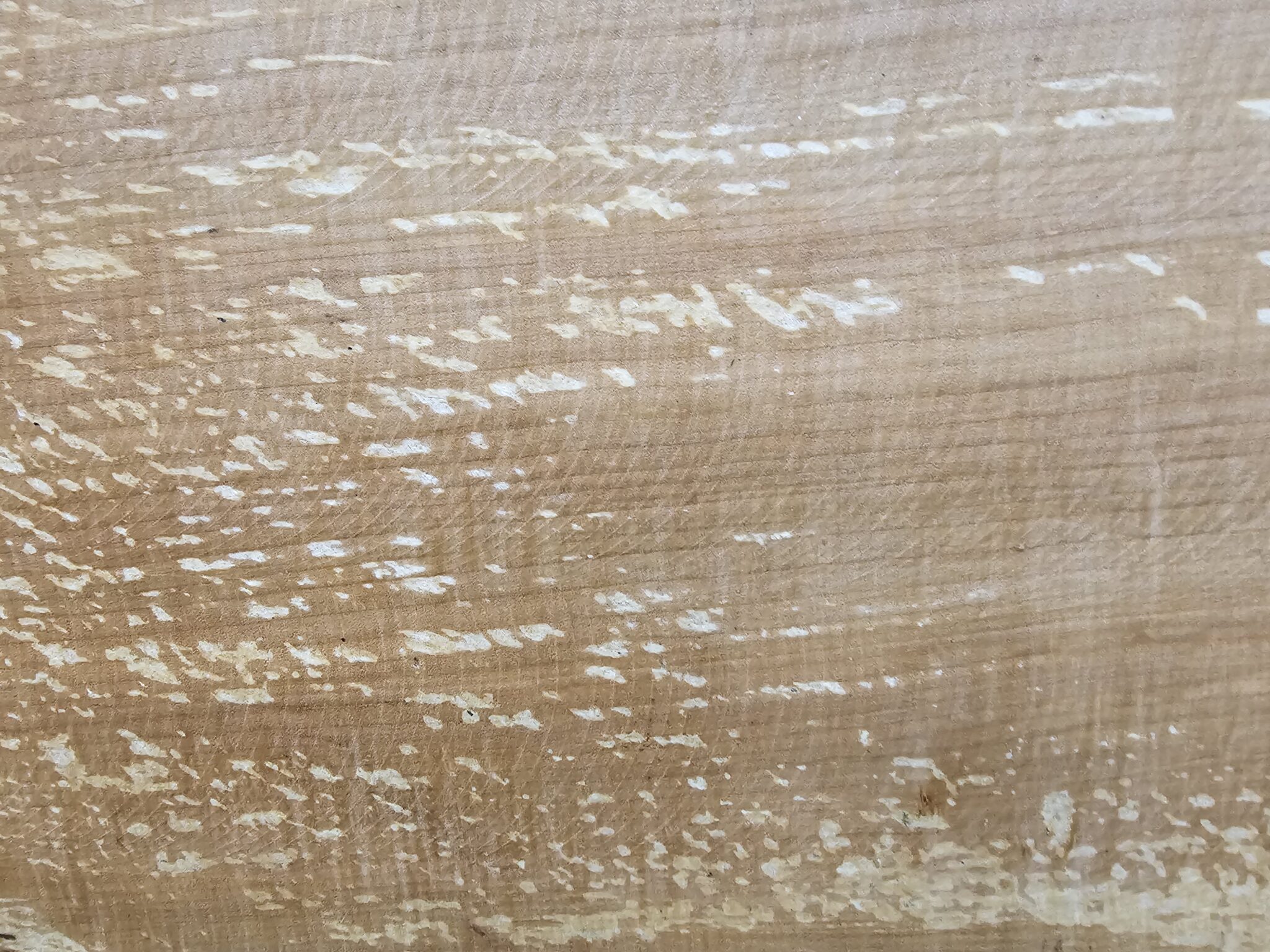 Silver Maple Natural Edge Slab #6-3-25-04-1 - Wood From The Hood