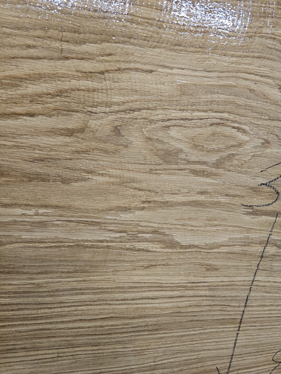 White Oak Natural Edge Slab #8-15-24-06 - Wood From The Hood
