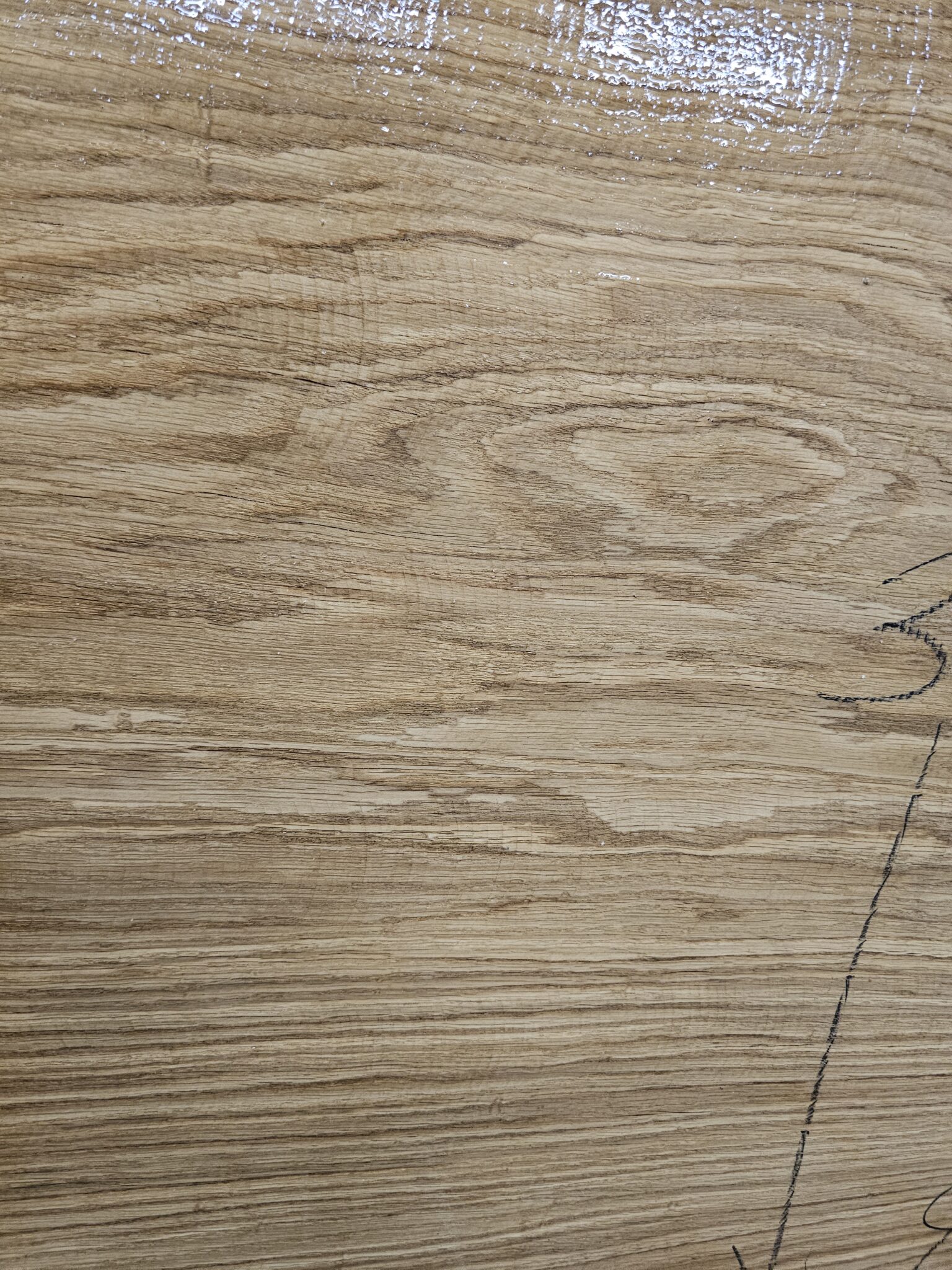 White Oak Natural Edge Slab #8-15-24-06 - Wood From The Hood