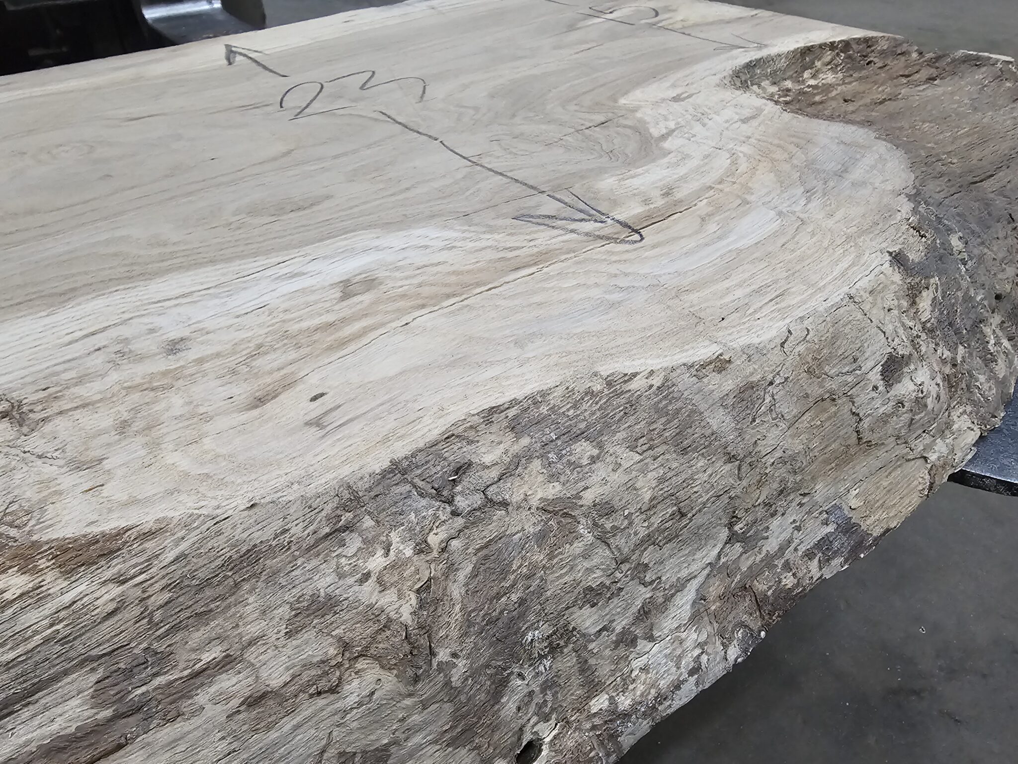 White Oak Natural Edge Slab #8-15-24-07 - Wood From The Hood